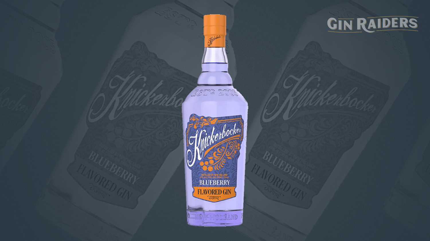 Knickerbocker Blueberry Flavored Gin Review | The Daily Pour