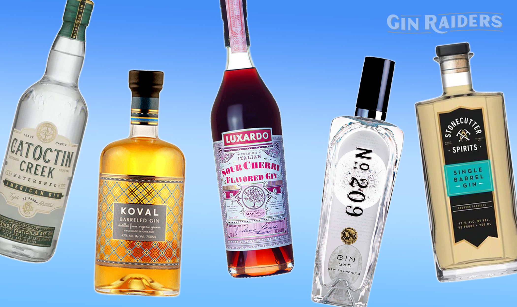 Top 5 Kosher Gins for Hanukkah Gifting | The Daily Pour