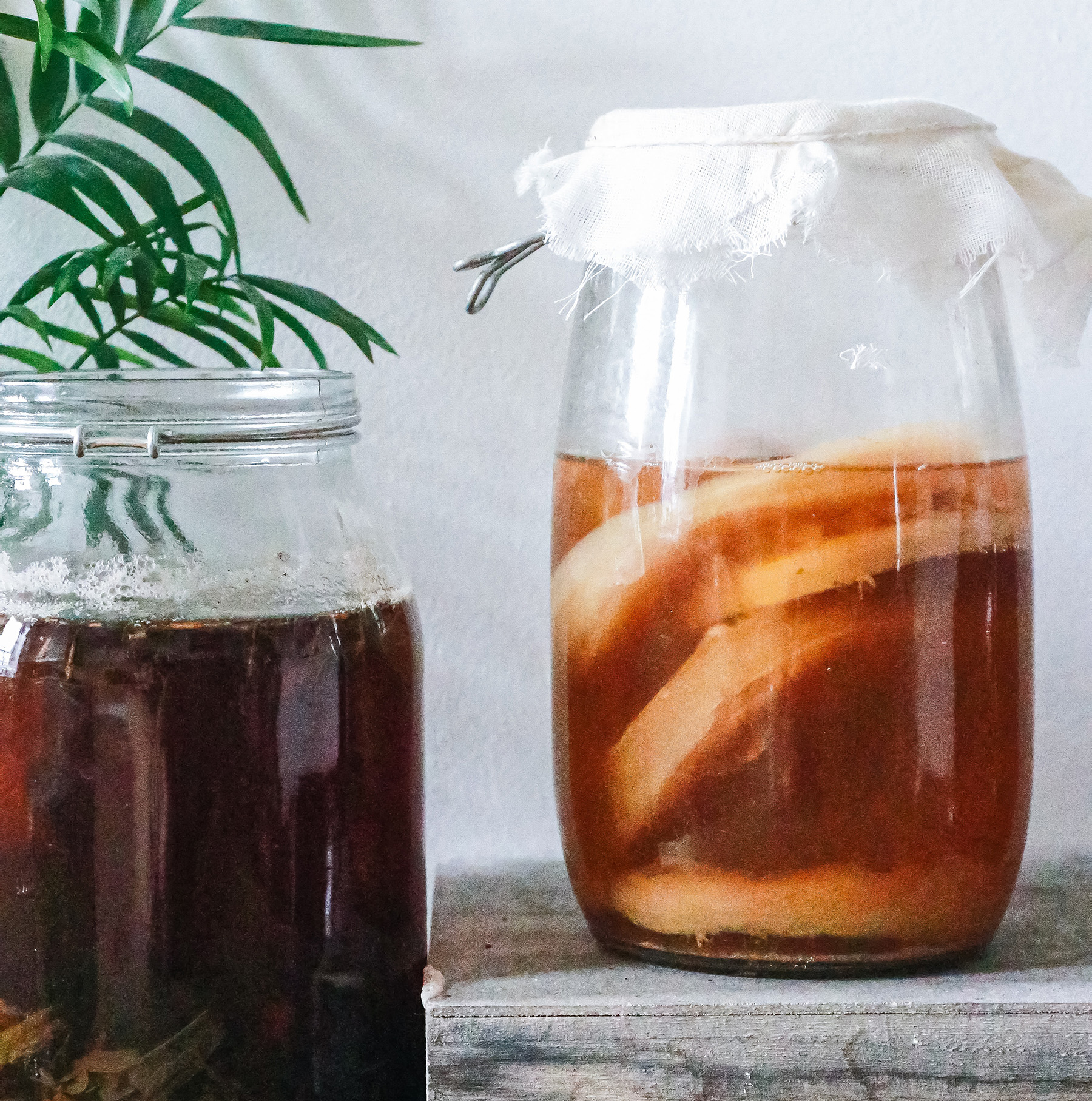 Kombucha Brand Too Boozy for Store Shelves | The Daily Pour