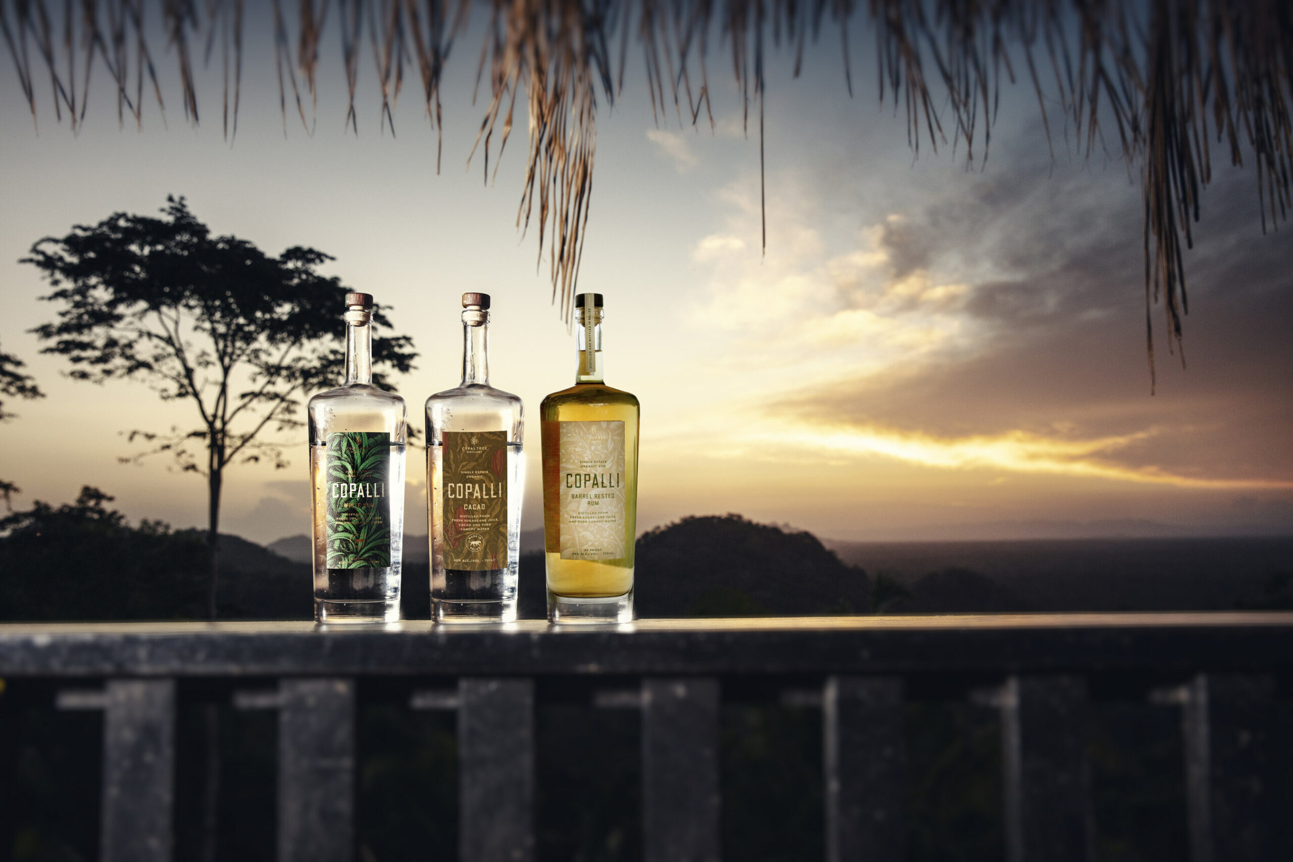 Copalli Rum Commences Cocktails for a Cause Campaign in Honor of Earth ...