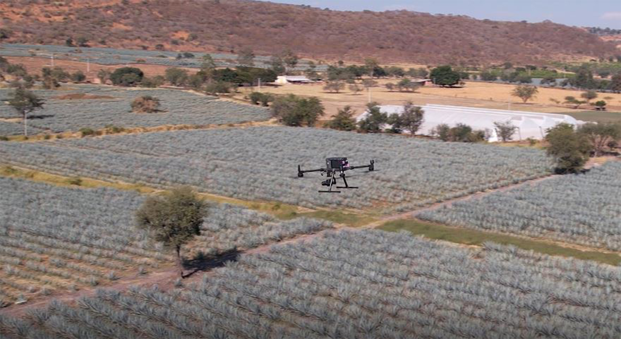 Casamigos and Don Julio Introduce Drones To Farm Their Agave Fields ...