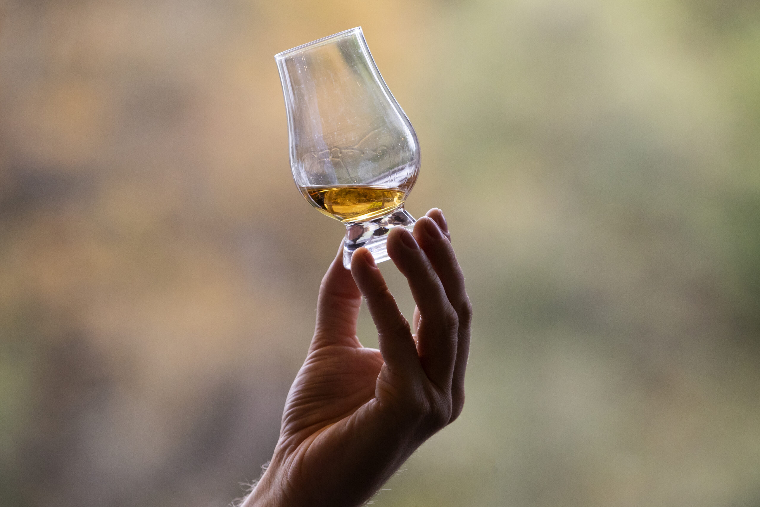 How To Drink Whiskey Like A Professional | The Daily Pour