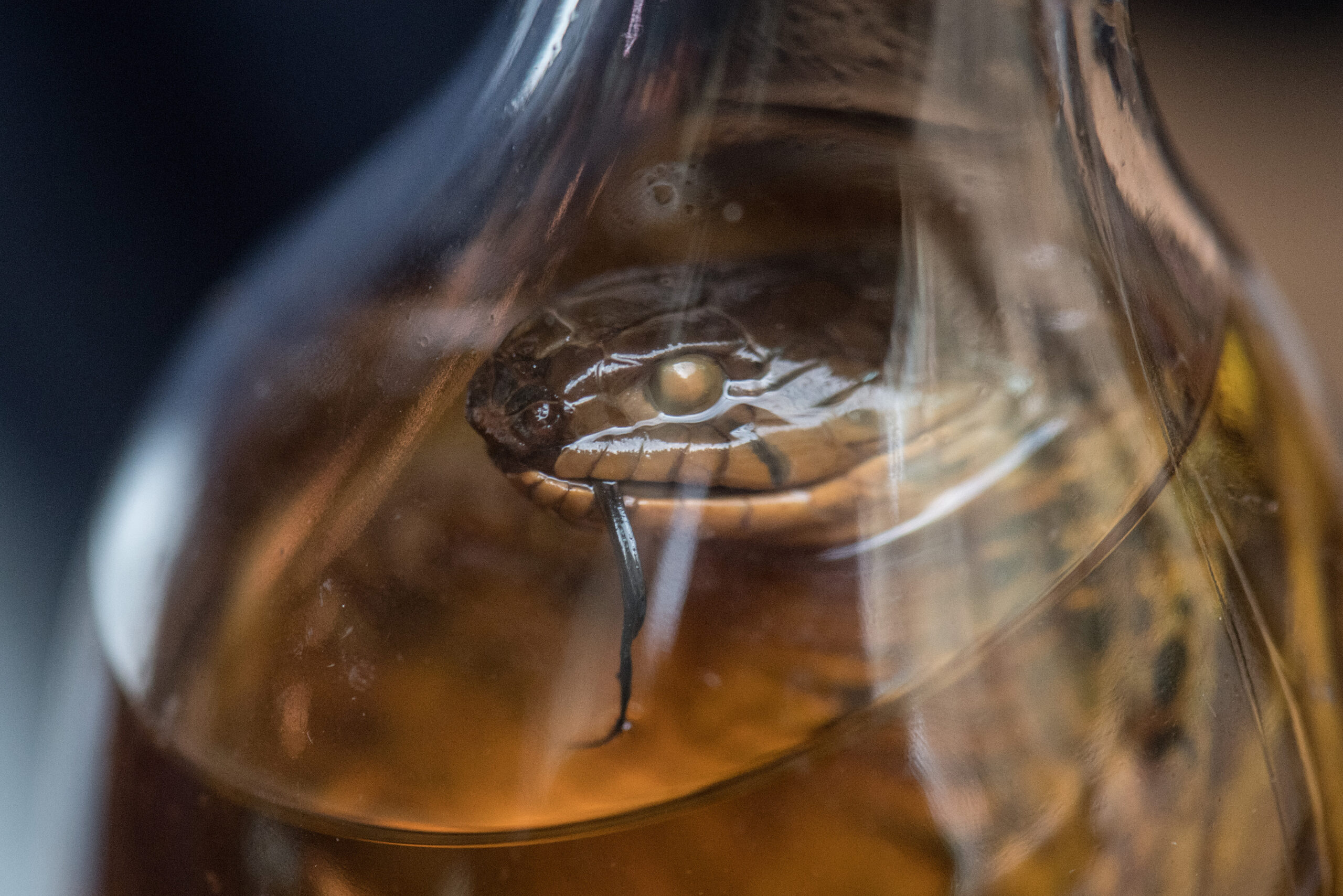A Japanese Snake Whiskey That ‘Will Hit You Like a Truck’ is Going ...