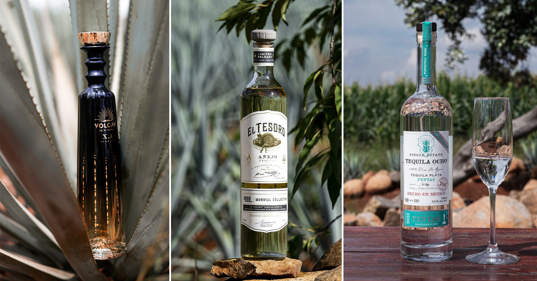 7 Best Additive-Free Tequila Releases of 2023 | The Daily Pour