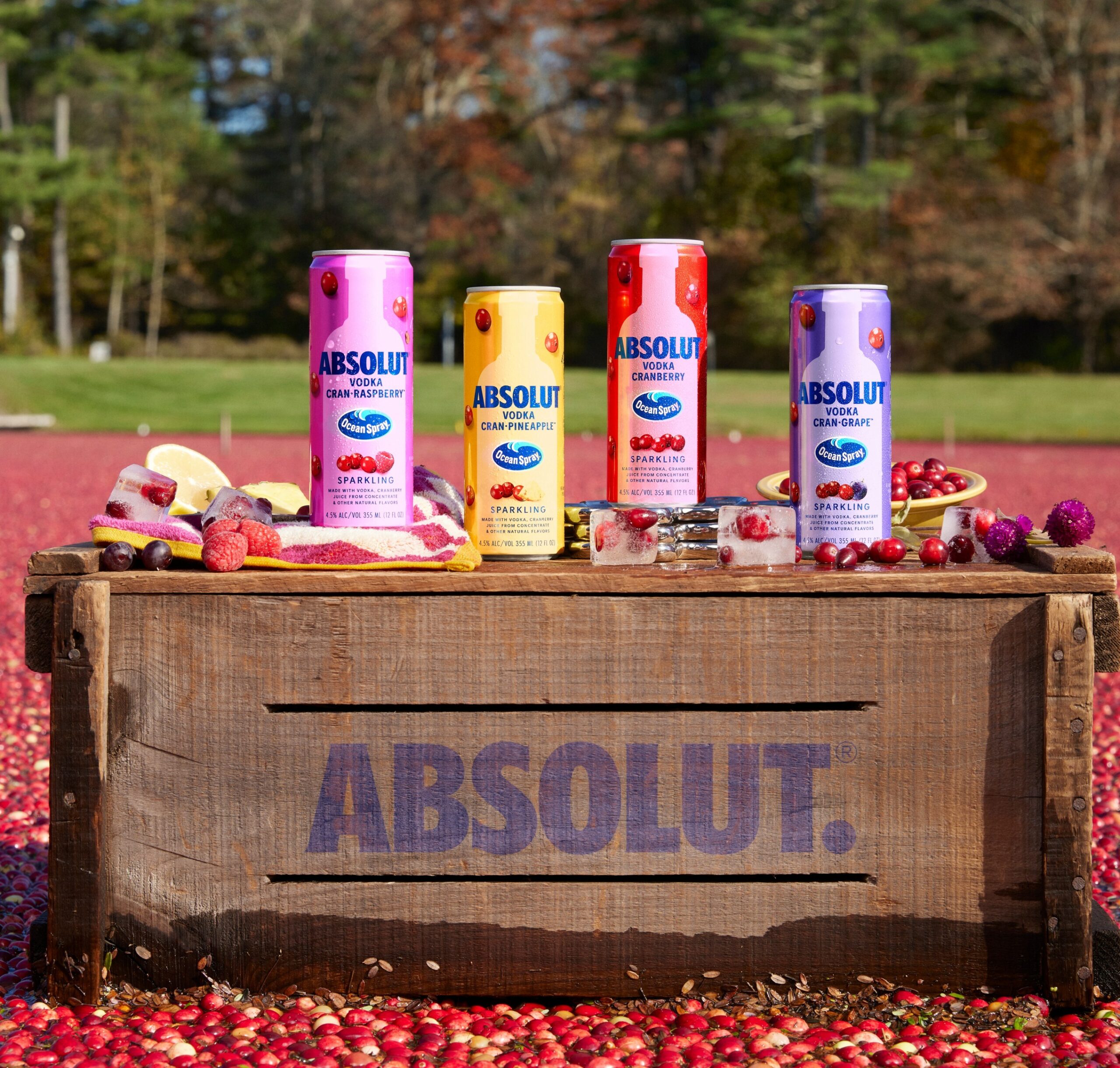 Beloved Cocktail Gets an Upgrade as Absolut and Ocean Spray Unveil RTD ...