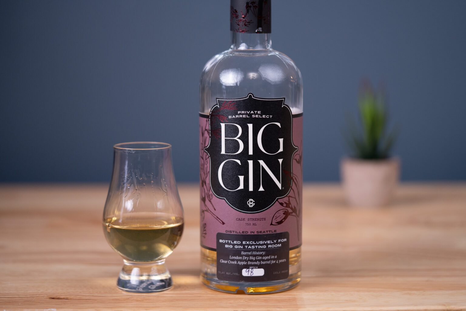 10 Best Gins We Tasted in 2024 | Bottle Raiders