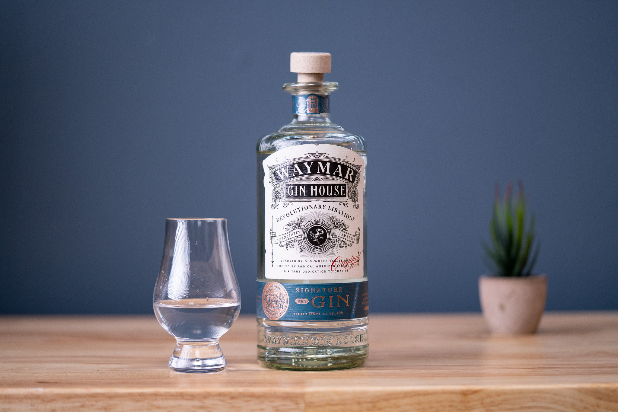 10 Best Gins We Tasted in 2024 | Bottle Raiders