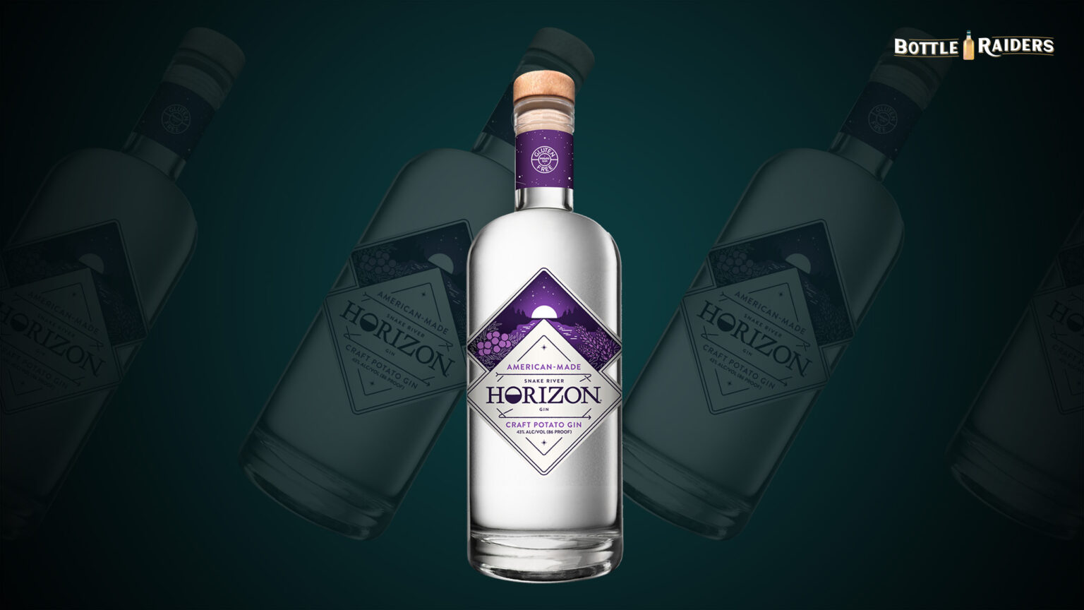 Horizon Potato Gin Review | The Daily Pour