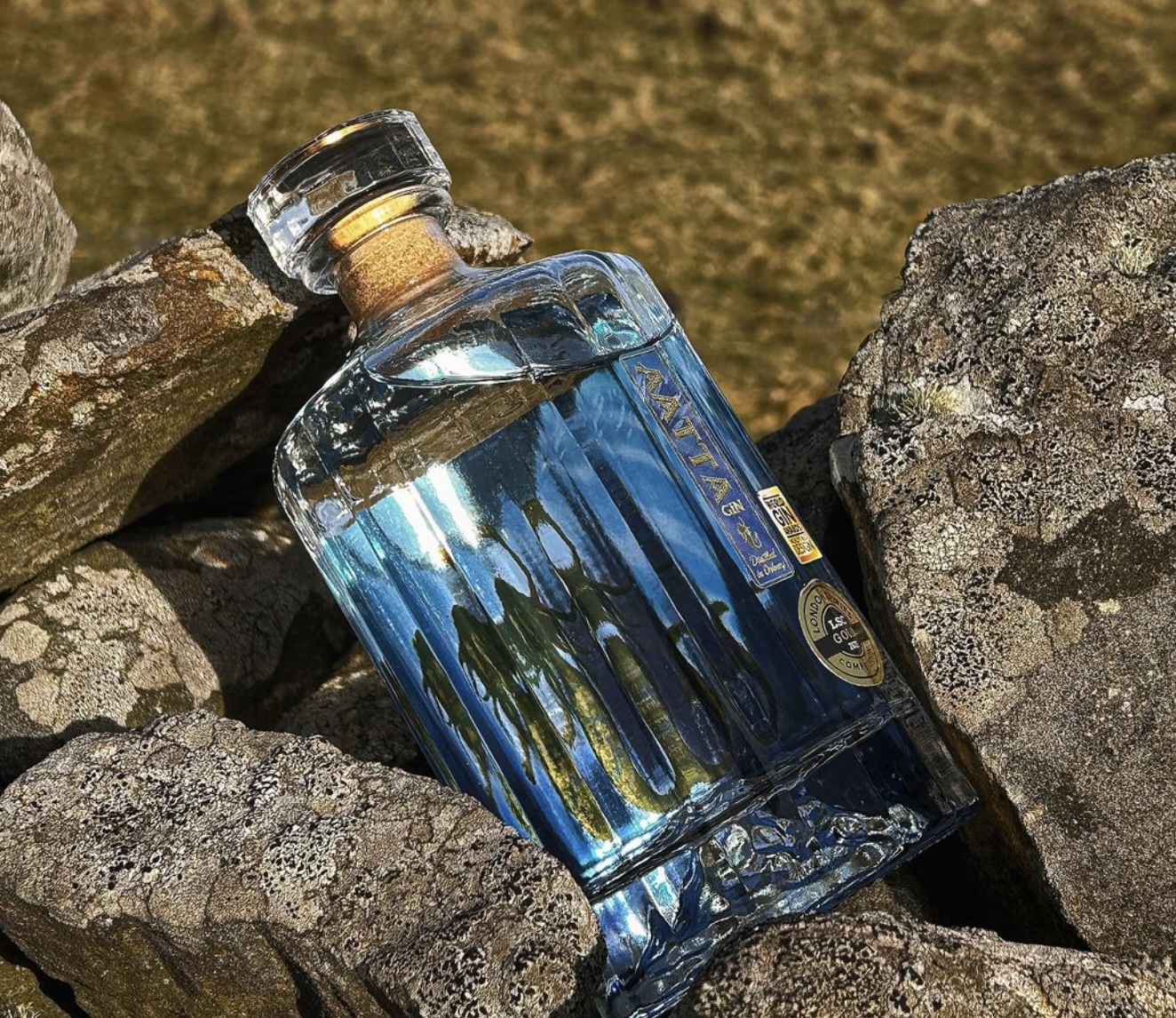 Small Family-Run Gin Business is a Rising Star Thanks to TV Appearance ...