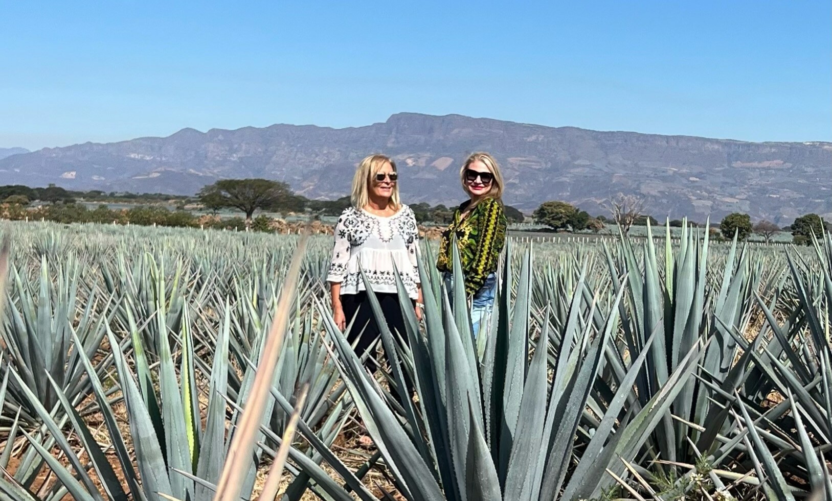 What Is Biatch Tequila? Inside the Bold, Lip-Shaped Brand