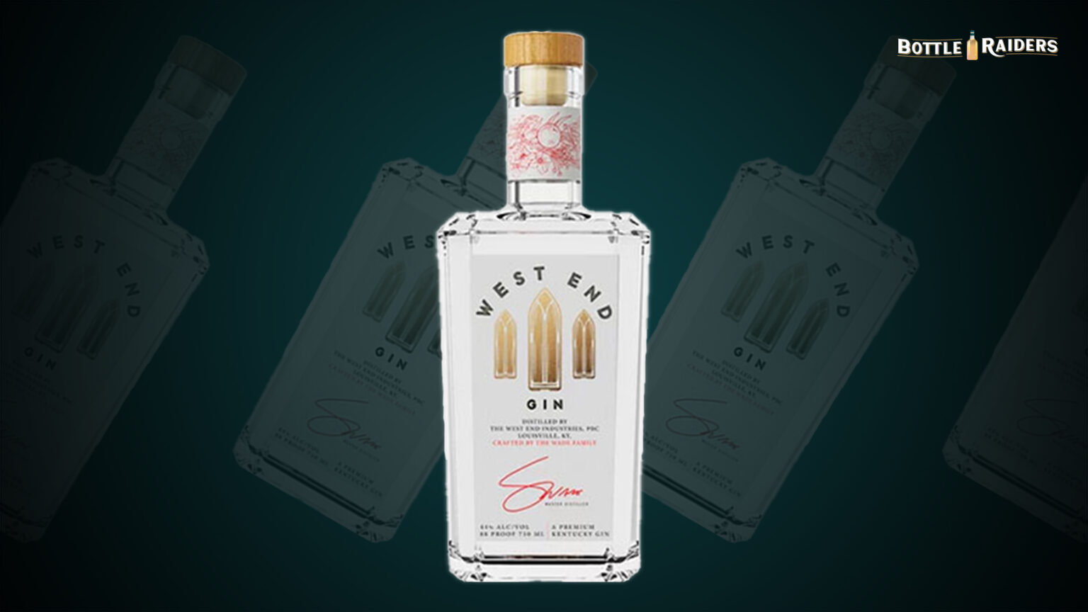 10 Best Gins We Tasted in 2024 | Bottle Raiders