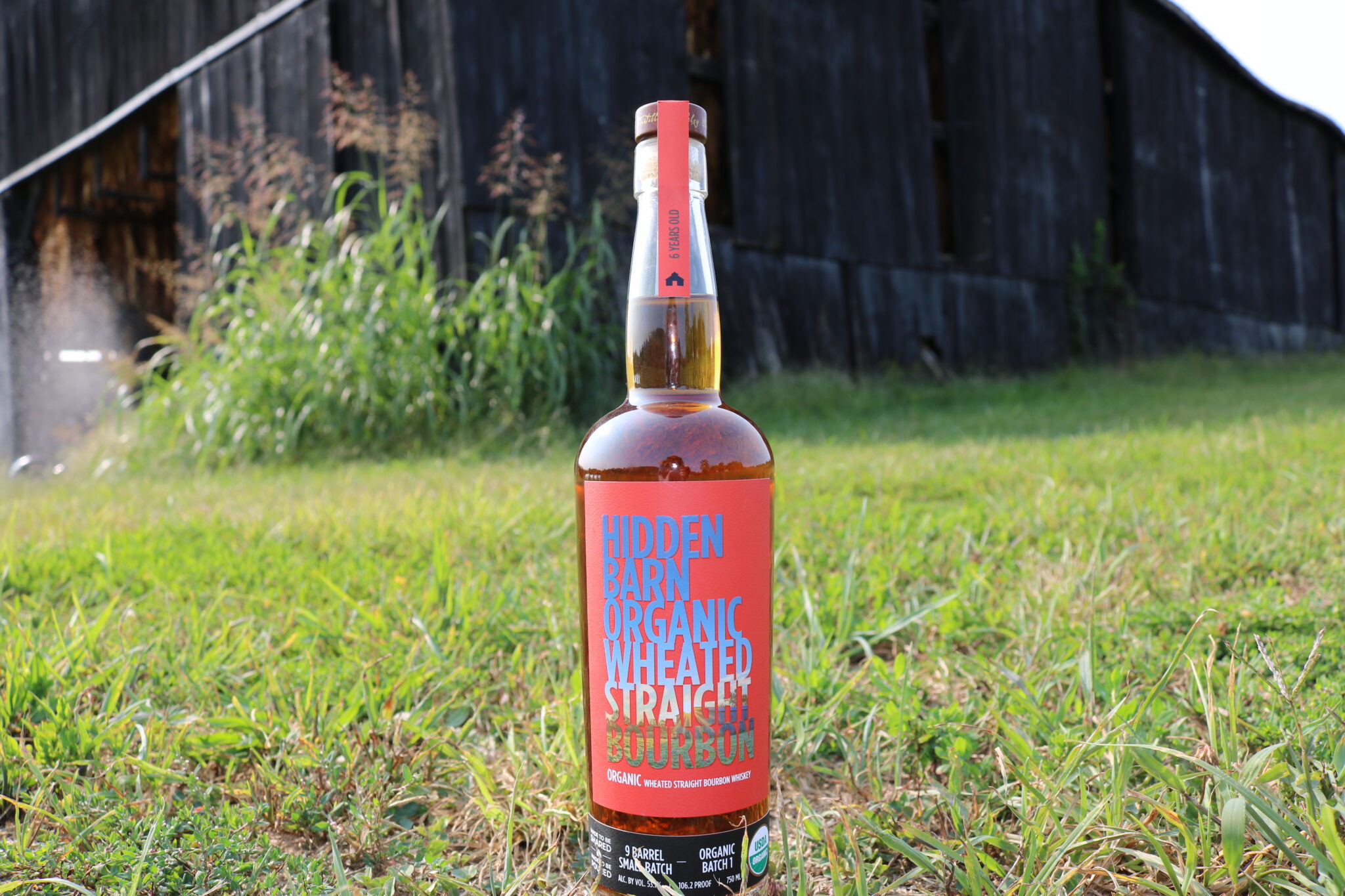 Old Forester Alum Jackie Zykan Unveils her ‘Passion Project’ – an ...