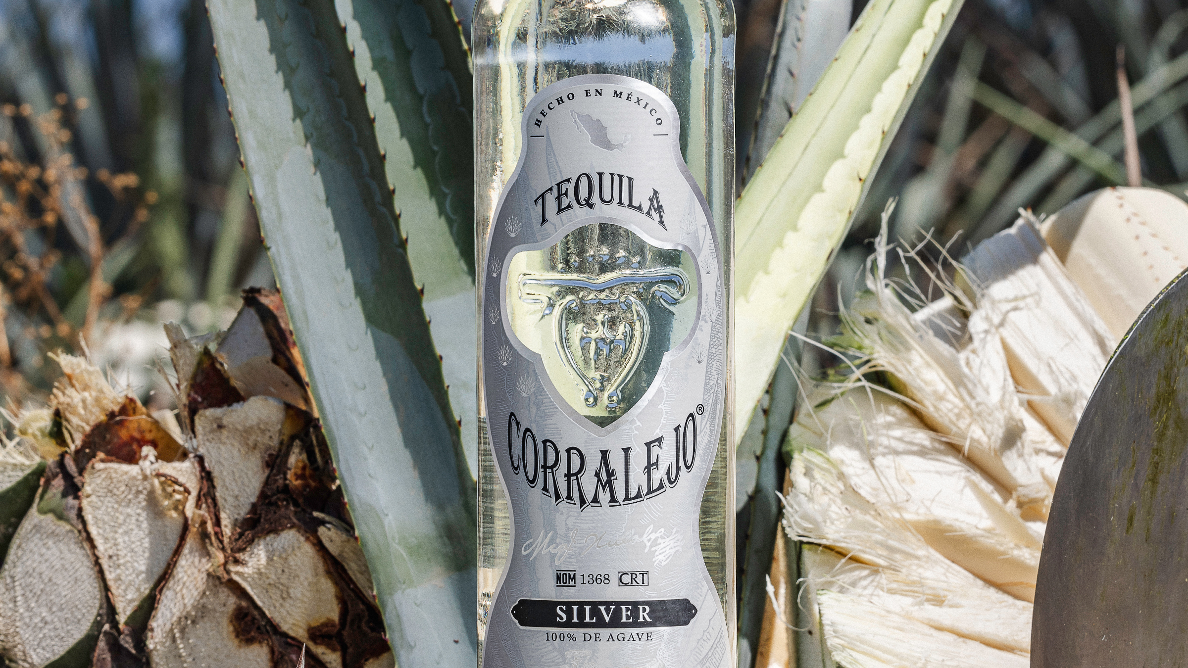 Corralejo Tequila: A Legacy of Mexican Heritage and Craftsmanship