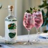 10 Best-Selling Non-Alcoholic Spirit Brands in 2025 | The Daily Pour