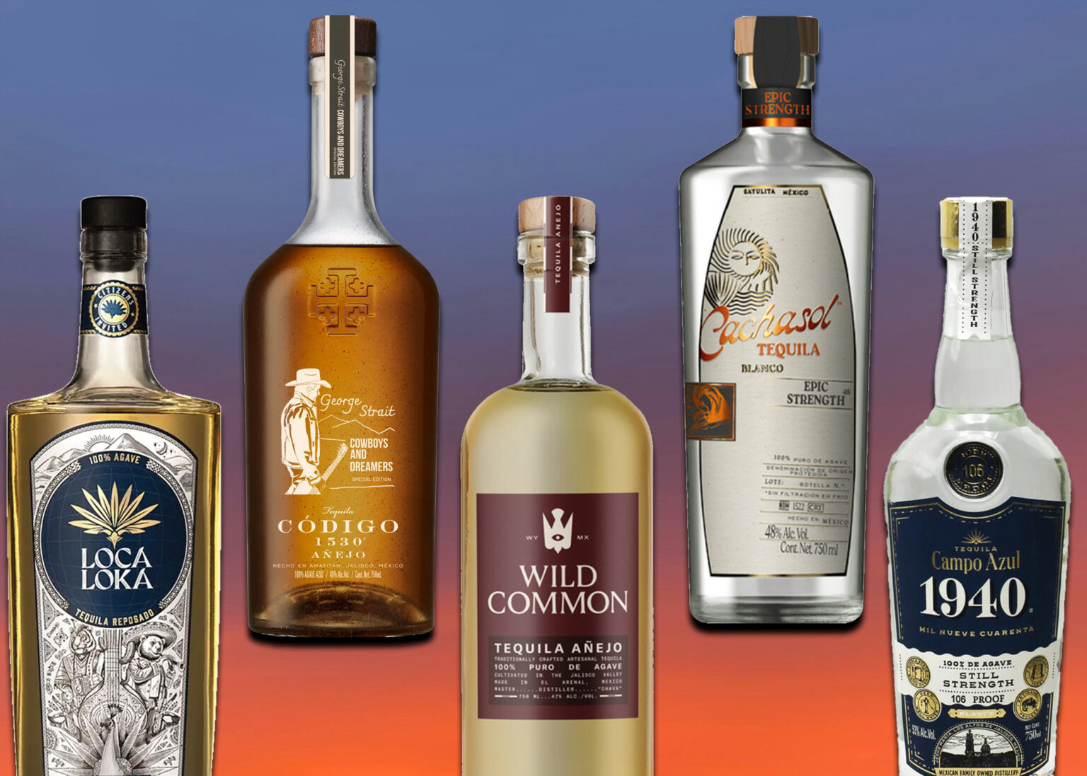 5 Best Tequilas of 2025, So Far | The Daily Pour