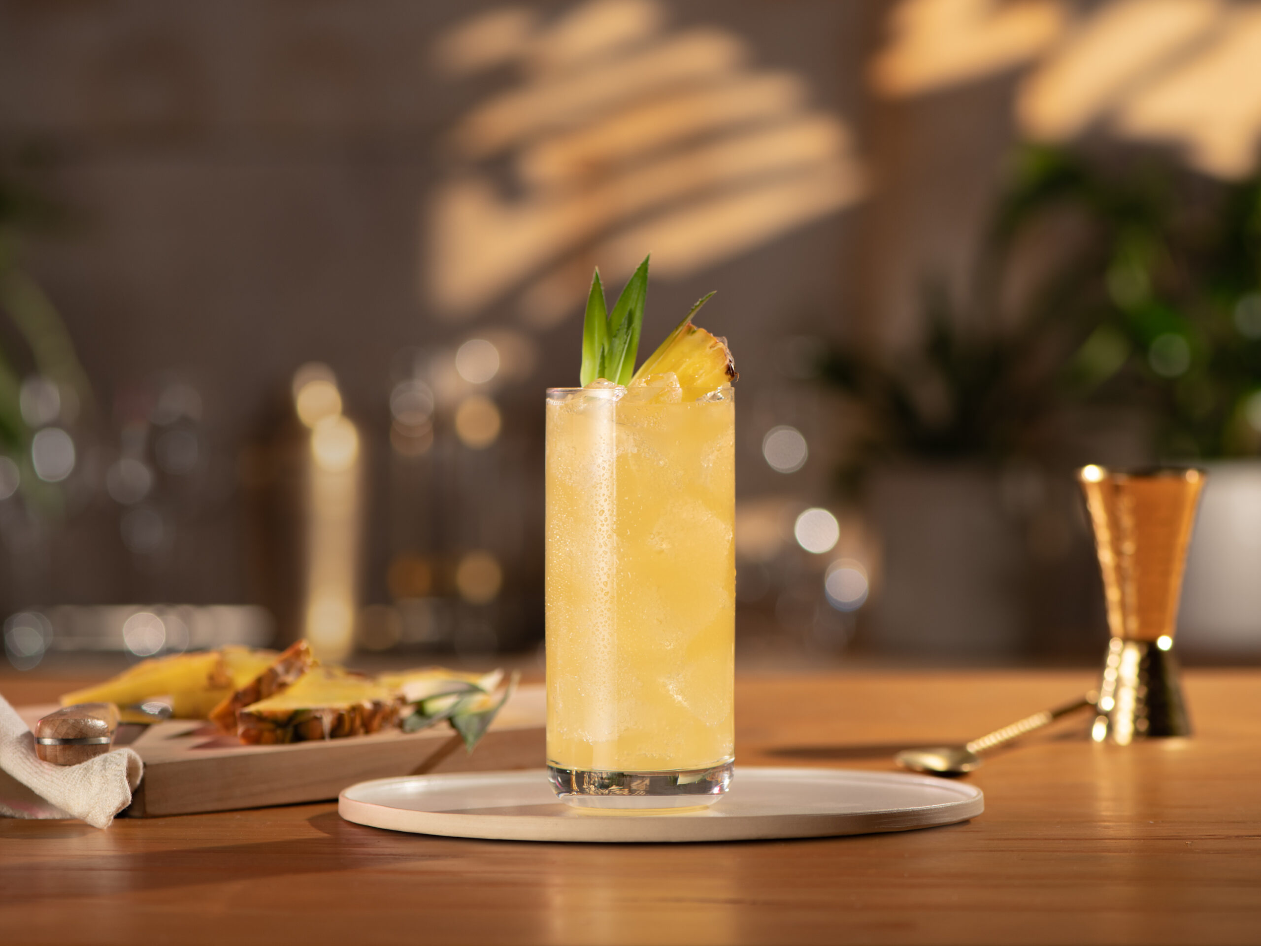 10 Refreshing Summer Highball Recipes You Need to Try